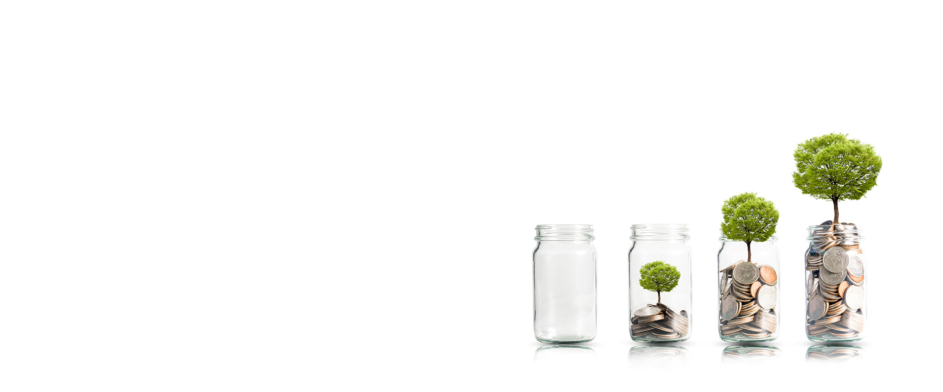 Home | MCS Mutual Aid